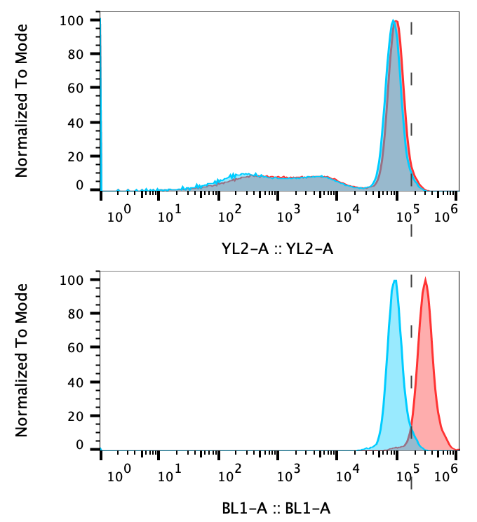 Synthetic uORF construct - Matreyek Lab