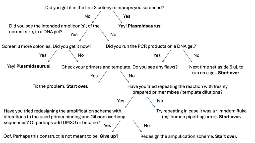 Cloning screening decision tree - Matreyek Lab