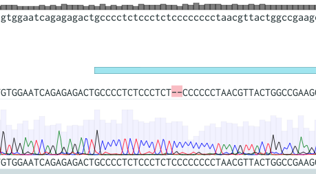 Common Plasmidsaurus Errors - Matreyek Lab