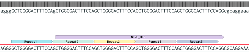 NFkB DTS - Matreyek Lab