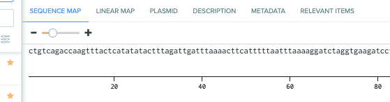 Plasmidsaurus fasta standardizer - Matreyek Lab