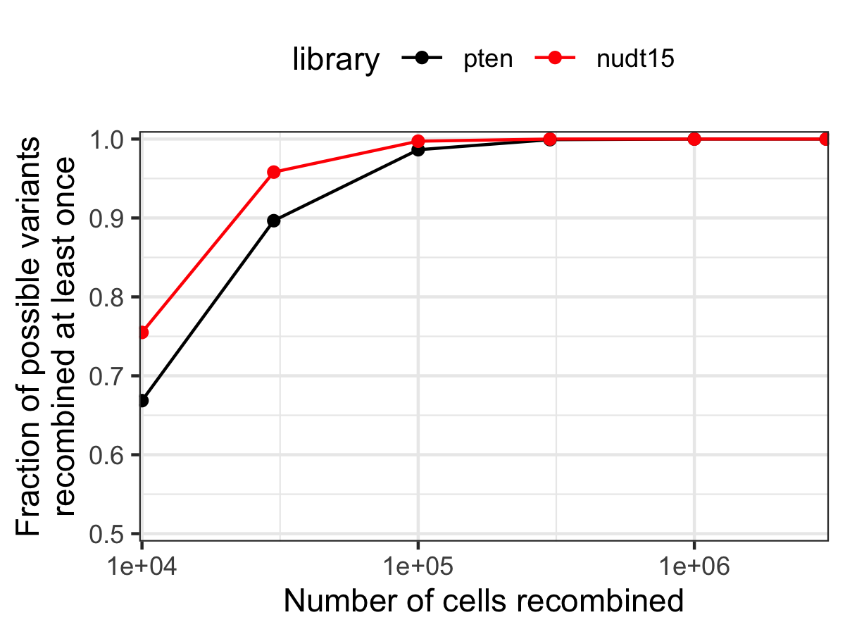 Simulating Sampling During Recombination Matreyek Lab