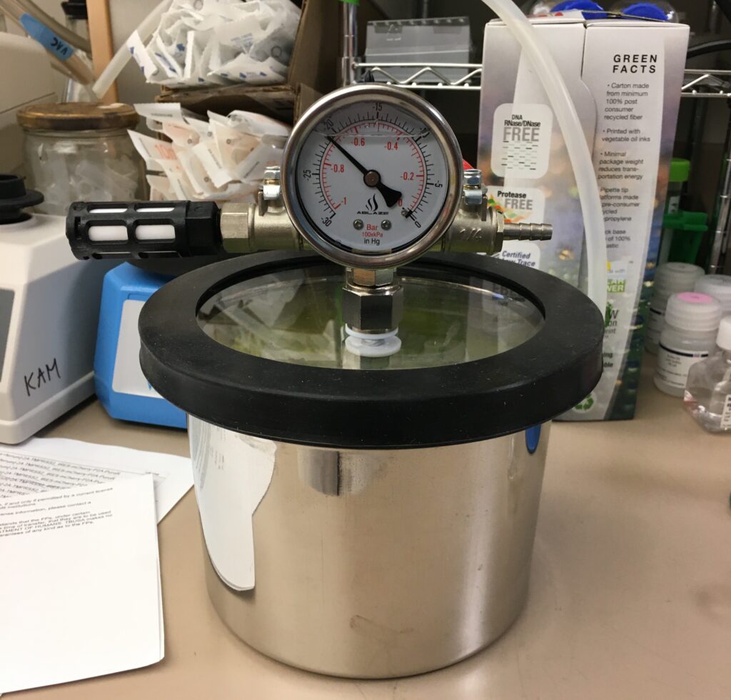 Vacuum Concentration - Matreyek Lab